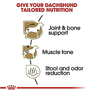 Royal Canin Dachshund Adult Breed Specific Dry Dog Food, 10 lb bag