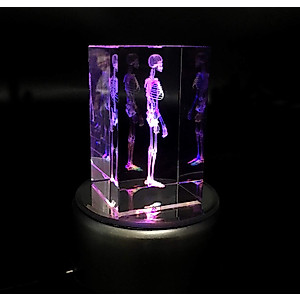 3D Human Skeleton Anatomical Model Paperweight(Laser Etched) in Crystal Glass Cube Science Anatomy Gift (No Included LED Base)(3.1x2x2 inch)