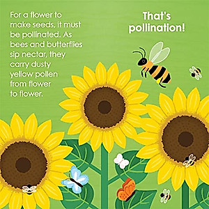 Montessori: Seed Work