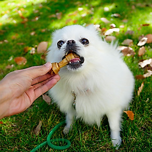 MON2SUN Dog Rawhide Knot Bones Small Rawhide Bones Mini Dog Chews Chicken Flavour 2.5 Inch 100 Count for Puppy and Small Dogs