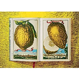 J. C. Volkamer The Book of Citrus Fruits: The Complete Plates 1708-1714, Numbered Edition 0971