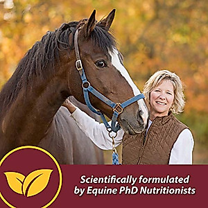 Farnam Laser Sheen Skin & Coat Supplement for Horses, Promotes Healthy Skin & Radiant Coat from The Inside Out, 7.5 Pound, 60 Day Supply