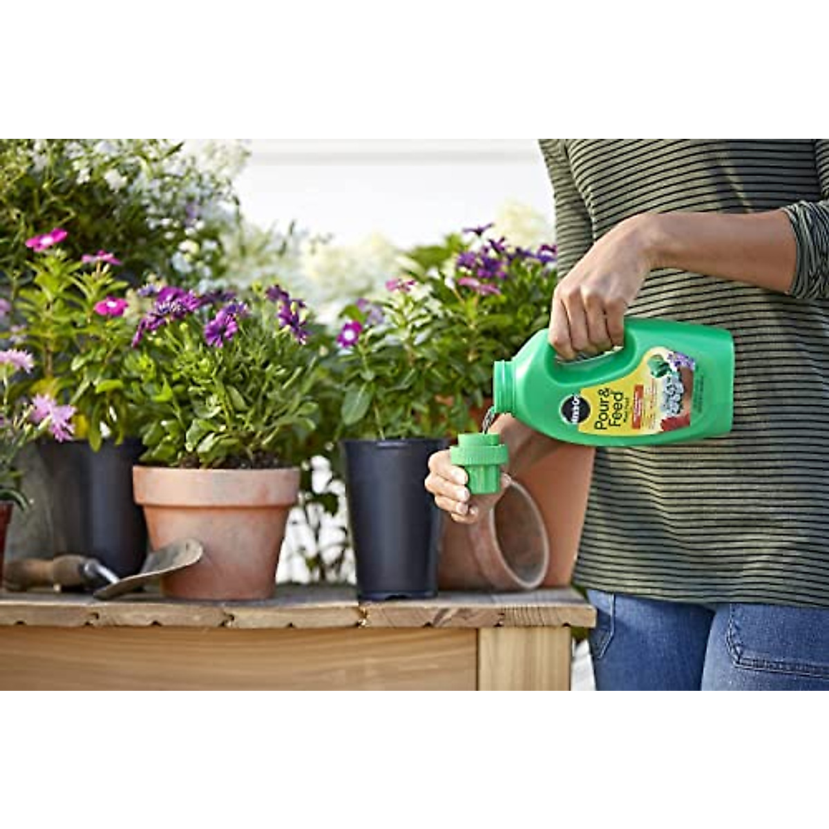 Miracle Gro 1006002 32 Oz Pour & Feed Liquid Plant Food 0.02-0.02-0.02