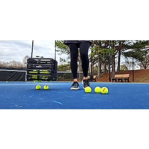 Tourna Pressureless Tennis Balls with Vinyl Tote (45 pack of balls)