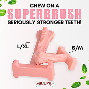 Bullibone Large SuperBrush Bundle - Three Delicious Flavors Apple/Cinnamon Pink Peppermint Super Greens