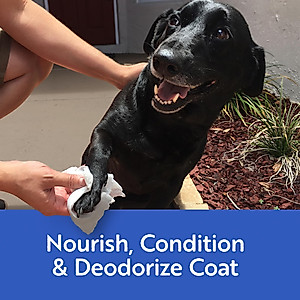 Natural Essentials Wag-Time Pet Wipes - 400 ct Dog Wipes for Paws and Butt, Plastic-Free Plant-Based Cleaning, Unscented with Chamomile, B5, Oatmeal with Aloe Vera and Vitamin E, (Pack of 1)