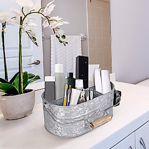 Alpha Living Home Utensil Caddy, Silverware Caddy Party, Silverware Caddy, Picnic Caddy, Flatware Caddy, Paper Plate Caddy, Galvanized Utensil Caddy, Utensil Caddy for Countertop 13.5 inch- Natural