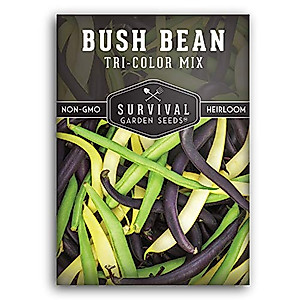 Survival Garden Seeds - Tri-Color Bean Seed for Planting - Packet with Instructions to Plant and Grow Yellow, Purple, and Green Bush Beans in Your Home Vegetable Garden - Non-GMO Heirloom Variety