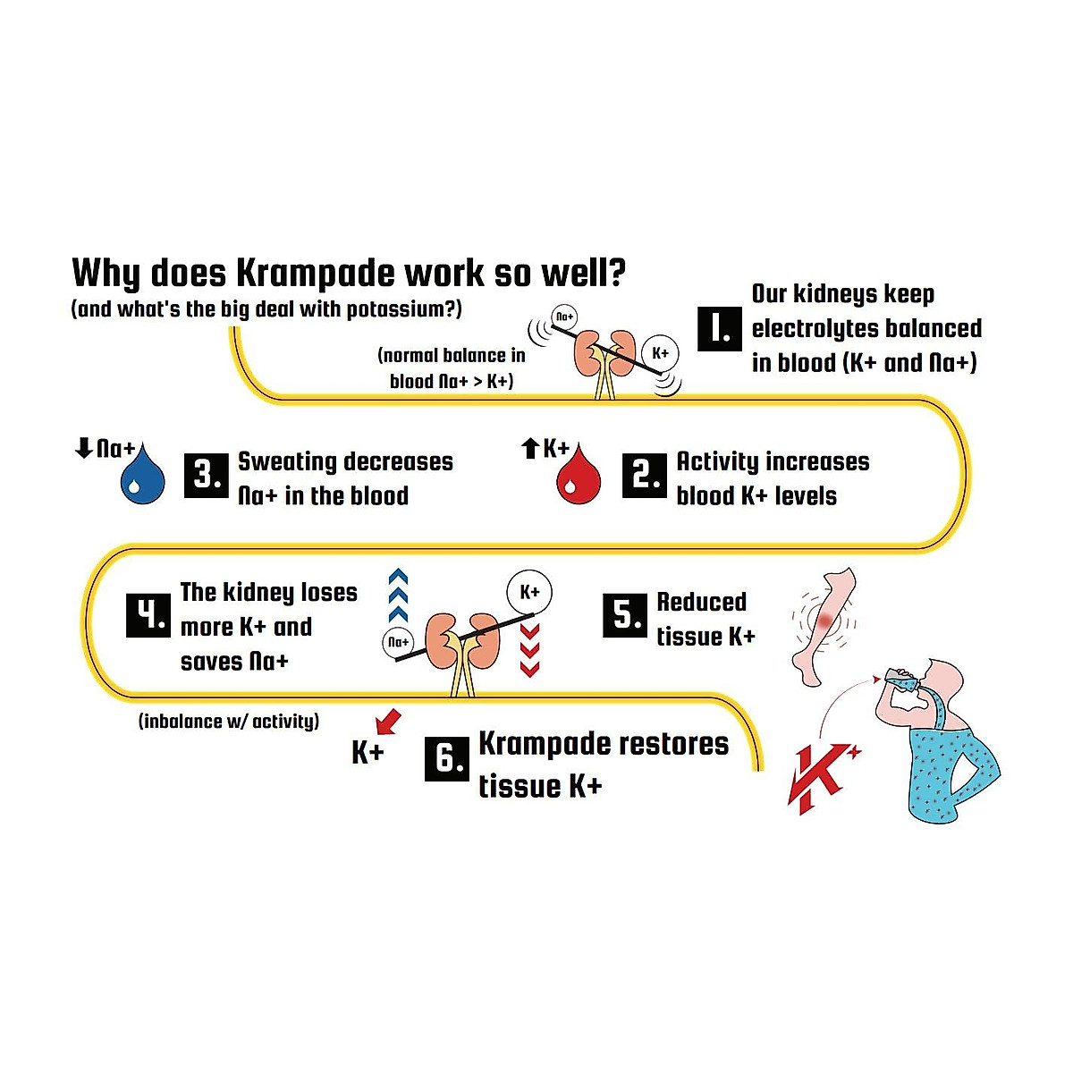 Krampade Electrolytes Powder Potassium Supplement - 4000 mg K+, >4X More Than Coconut Water | Instant Cramp Relief | Hydration Powder