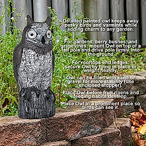 Galashield Owl Decoy | Plastic Owls to Scare Birds Away with Solar Powered LED Eyes | Owl Statue for Garden & Outdoors