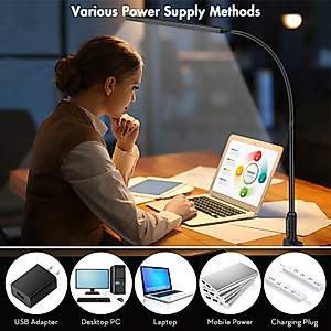 BIENSER LED Desk Lamp with Clamp, Super Bright, 11 LED Lights, 5 Color Modes, Flexible Gooseneck, Eye-Caring, Black, Metal & Silicone, Office Reading Lamp