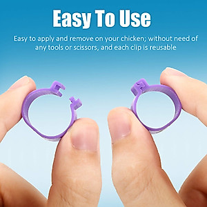48 Pieces 16 mm Medium Chicken Leg Rings Multiple Colour Chicken Identification Leg Bands Numbered Clip on Leg Rings for Gamefowl Turkey Duck Goose Guinea Fit 1/2 to 5/8 Inch Legs