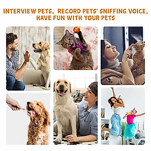 Wootrip [2PCS] Mini Karaoke Microphone, Mini Voice Recording Microphone Portable Karaoke Mic for Singing, Recording, Voice Recording(Black/Gold)