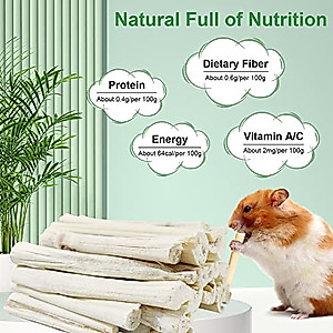 Barley Ears Sweet Bamboo Sticks for Rabbits, Guinea Pig Toys for Teeth Grinding, Rabbit Chew and Treats to Improve Dental Health, Hamster Toys for Bunny, Chinchillas, Gerbils, Rats (300g / 0.66lb)