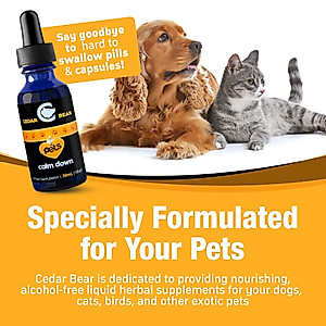 Cedar Bear - Pet’s Calm Down - All-Natural Dog Supplement for Stress Relief, Alcohol-Free Cat Calming Products, Also for Birds & Exotic Pets, 1 fl oz/30 ml