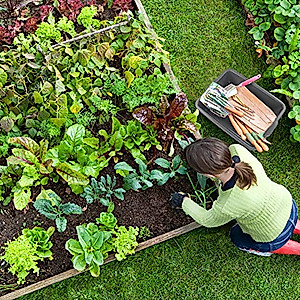 Begale 4-Pack 23 L Large Plastic Commercial Utility Bus Box, Bus Tubs, Gray