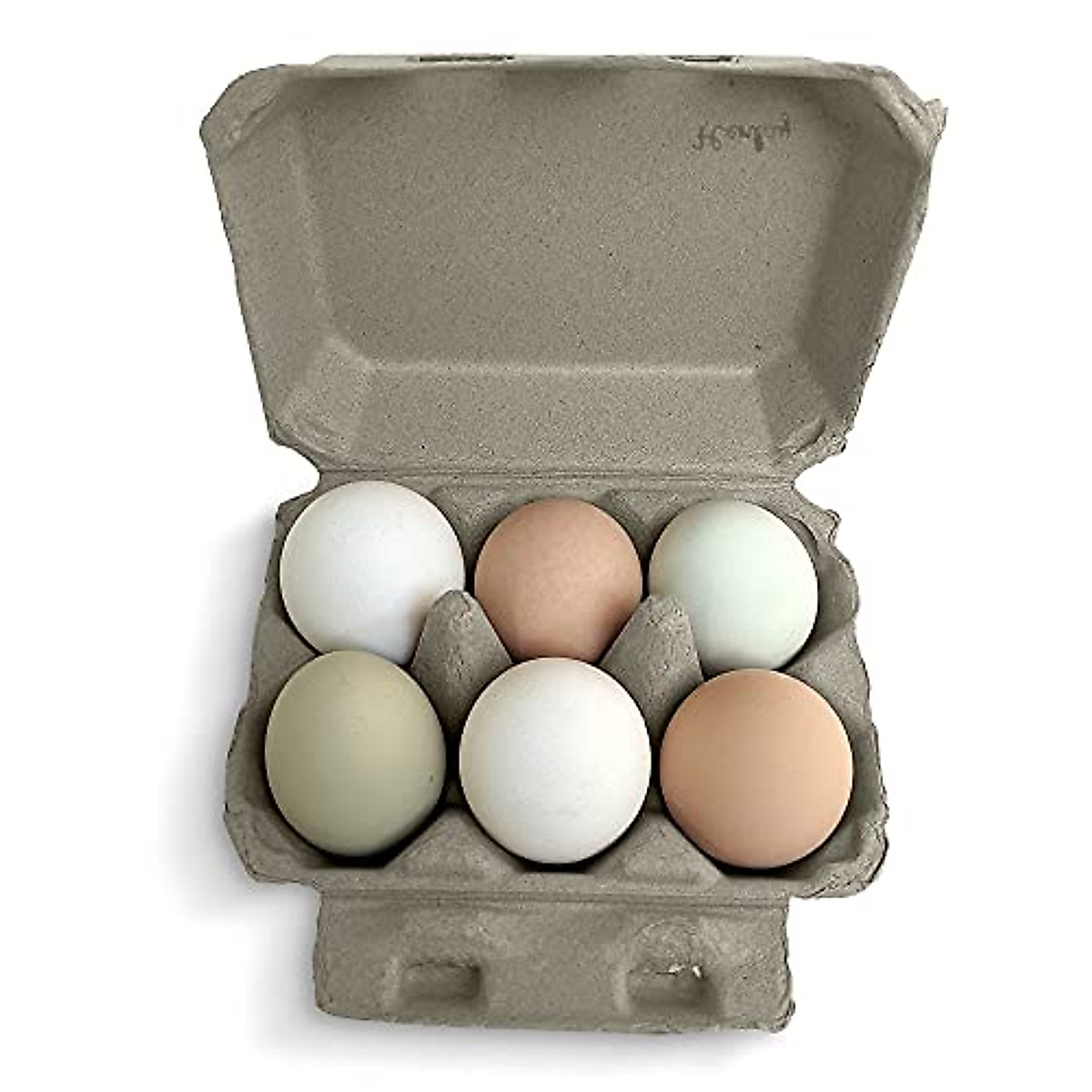 Half Dozen Egg Cartons- Henlay Blank Flat Top Six Pack (20)