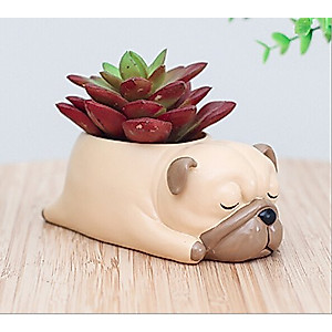 Youfui Home Decor Pot, Animal Succulent Planter Flowerpot for Home Office Desk Decoration (Sleep Pug)