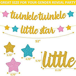 Twinkle Twinkle Llittle Star How We Wonder What You Are Banner Gender Reveal Decorations Boy or Girl He or She Pink Blue Gold Star Baby Shower Party Supplies Glitter Décor Pre-Strung