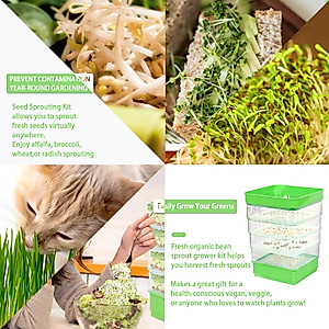 PHAIN 4-Tier Seed Sprouting Kit with Drain Holes and Drain Tray, Upgrade Stackable Microgreens Fresh Organic Bean Seed Sprouter Tray Ripple Soil-Free Sprouter Tray for Beans Alfalfa Seeds