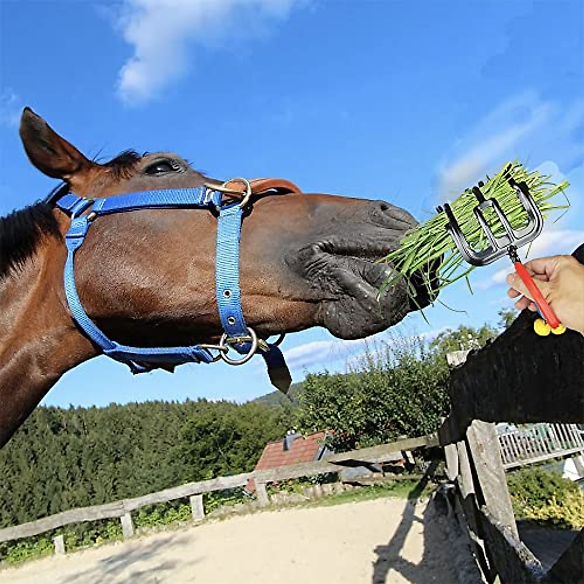 LYFOO Hay Filling Grabber Fishing Grabber Crab Tongs Horse Hay Gripper Cow Hay Fork Pet Feeding Fork Rabbit Feeder Goat Food Feeder with Measurement Tape (6-Tine), Black