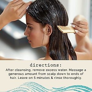 Amir Clean Beauty Moisturizing Conditioning Treatment, 12 fl oz