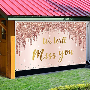 Going Away Party Decorations We Will Miss You Banner Backdrop for Women, Rose Gold Goodbye Farewell Party Sign Supplies, Pink Retirement Graduation Party Poster Background Photo Booth Props Decor
