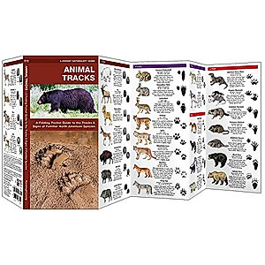 Animal Tracks: A Folding Pocket Guide to the Tracks & Signs of Familiar North American Species (Nature Observation North America)