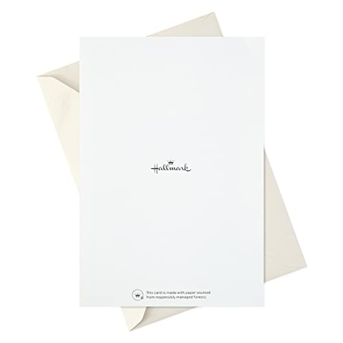 Hallmark Religious Easter Cards Assortment, Painted Flowers (16 Cards with Envelopes)