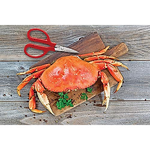 Maine Man Crab Seafood Scissors, Japanese Stainless Steel Blades, 6.25-Inches x 3.25-Inches