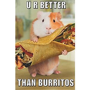 Heartline Funny Guinea Pig Holding a Burrito Happy Birthday Card - U R Better Than Burritos and, Honestly - I Didn't Even Think That Was a Thing.