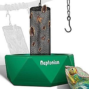 NEPTONION Hookable Chameleon Feeding Bowl, Professional Live Worm Organizer with Column for Prey to Climb and Move, Suitable for Lizard, Bearded Dragon, Iguana, Gecko, Toad, Frog