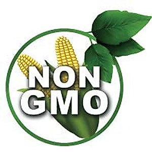 (Spoken of by Dr. Sebi) Bio Iron/Herbal Iron- 100 Capsules