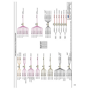 LS Gen III Engine Wiring Systems: 97-07 (Performance How-to, SA516)