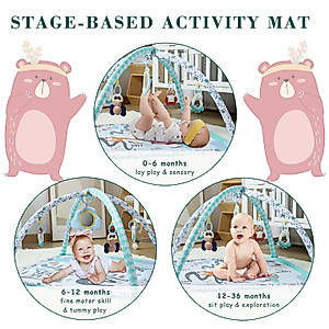 LOL-FUN Baby Play Mat Gym for Infant,Baby Floor Mat Activity Gym with Toys for Development,Foldable Gym Playmat for 0 3 6 9 12 Months Baby Girls and Boys