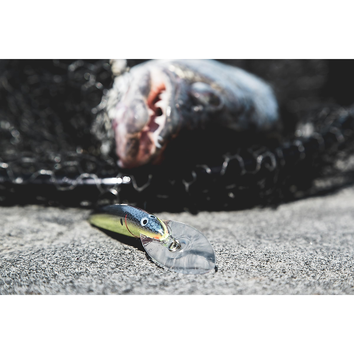 Northland Tackle Rumble Stick Fishing Lure, Freshwater Deep Diving Trolling Crankbait for Walleye, Perfect Lure for Any Kit, Purple Tiger, Size #4, 4.25", 3/8 Oz
