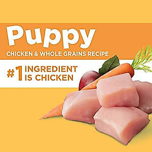 IAMS Smart Puppy Dry Dog Food with Real Chicken, 15 lb. Bag