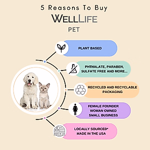 Well Life Plant-Based Upholstery & Carpet Cleaner - Cleans Daily Dirt, Grime, Great for Dog and Cat Owners, Homes with Small Children