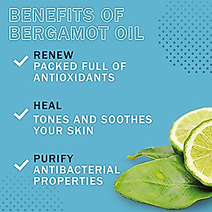 SONO Disinfecting Wipes - Medical-Grade, Alcohol-Free, No Bleach - Multi-Surface Cleaning Wipes for Home, School, Office - 160 CT (Canister of 2) + 1 Pack of Hand Sanitizing Wipes