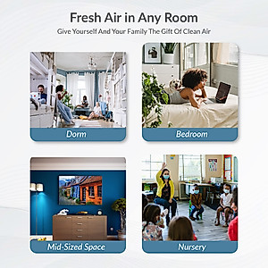 Purafide XP280 Veteran Owned 2-Yr H13 HEPA 3-stage filtration air purifier with Elegant Old Fashion Control Buttons for 1700 Sq Ft Coverage. Home, Bedroom, Pets, Dust (1, Black)