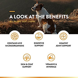 NaturVet All-in-One Dog Supplement - for Joint Support, Digestion, Skin, Coat Care – Dog Multivitamins with Minerals, Omega-3, 6, 9 – Wheat-Free Vitamins for Dogs – 120 Soft Chews