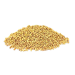 The Spice Way Yellow Mustard Seed - (6oz) whole seeds for Pickling, resealable bag