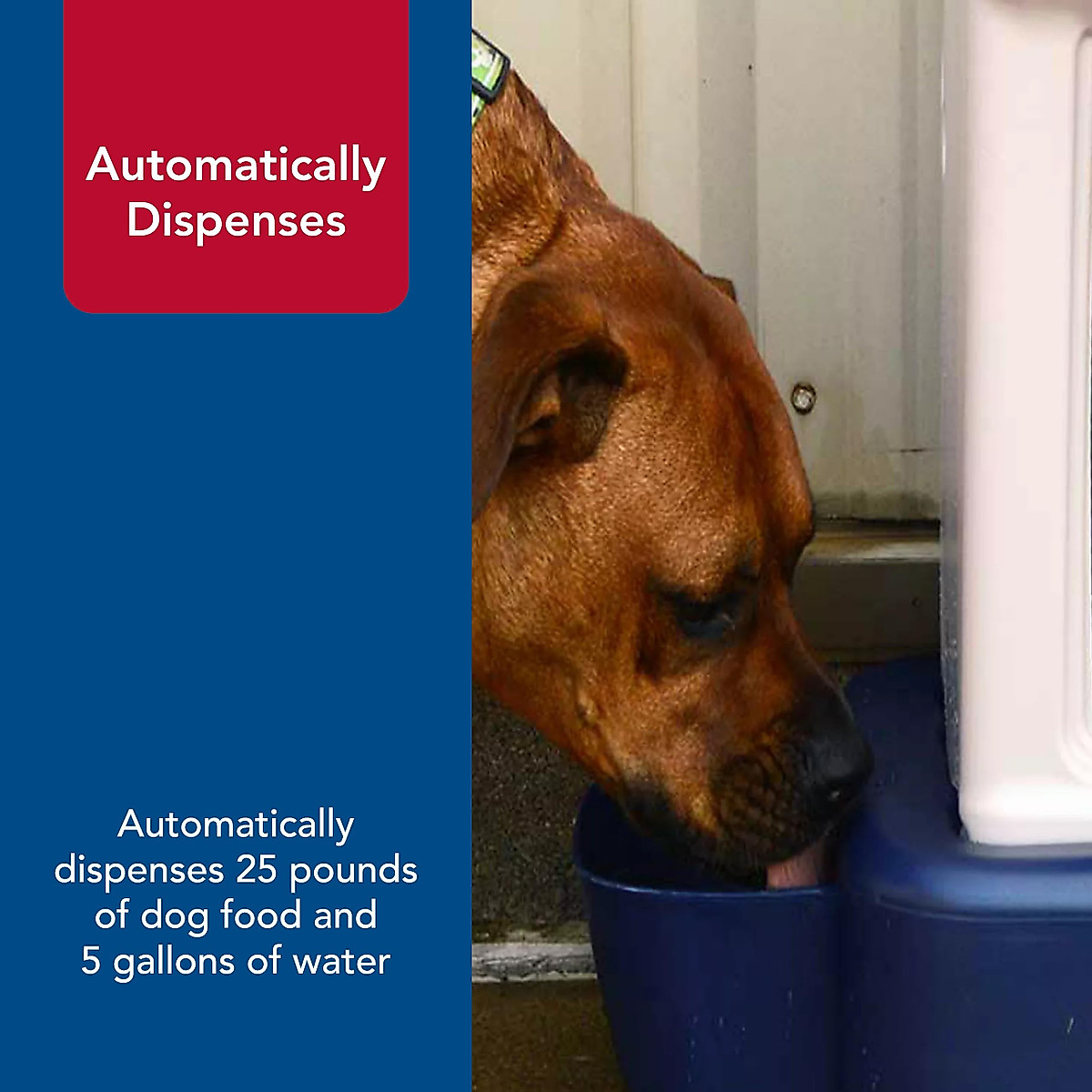 Coastal Pet Bergan Cafe K9 Food Storage - Beige and Navy - 5 gal/25 lbs