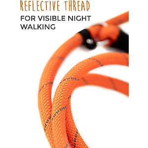 Mighty Paw 6' Slip Dog Leash - Gentle Correction with No More Pulling - Rock Climbers Rope for Ultimate Strength - Universal Design - One Size Fits All - Control When You Need It - Reflective Thread