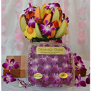 Edible Orchids - 50 Count (Pack of 4)