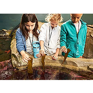 Stanley Classic IceFlow Flip Straw Tumbler for Kids (8 or Above), 20oz, Stan the Bear Stainless Steel Tumbler with Double-Wall Vacuum Insulation