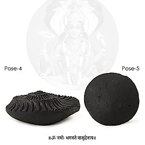 Vedic Vaani Siddh Vishnu Vinayak Divine Sudarshan Shaligram Stone Shila (Pack of 4)
