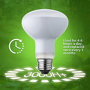 Jugbuy Reptile Heat Lamp Bulb, 100 Watt UVA Daylight Basking Spot Light for Bearded Dragon, Turtle, Lizard, Snake, Tortoise, Chameleon, Amphibians - 2 Pack