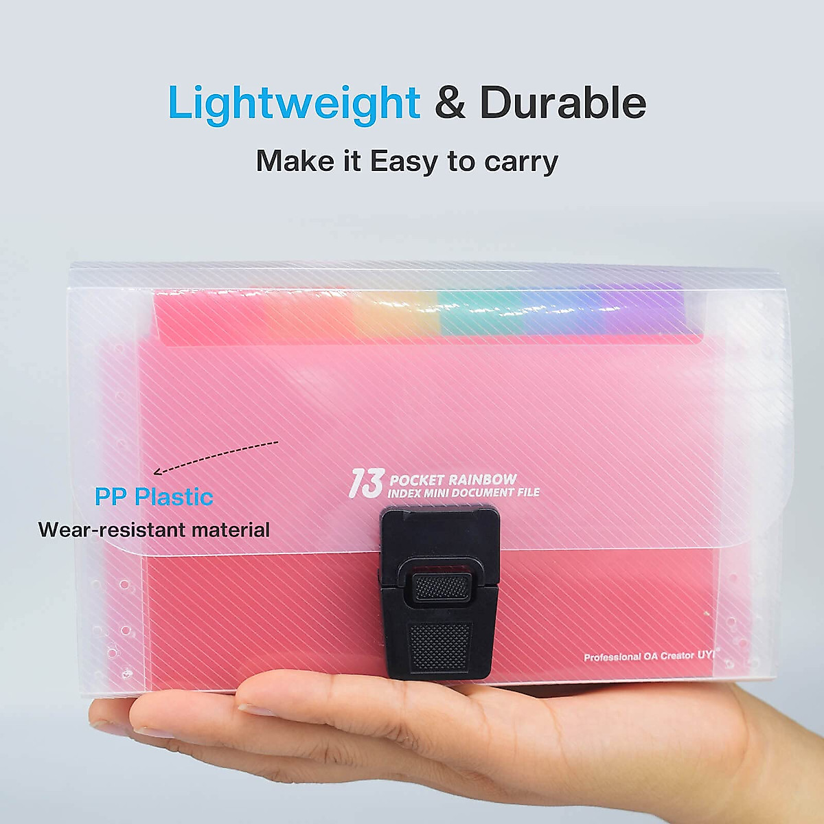 REEMTOO Accordian File Organizer, Coupon Organizer, Folder Organizer Mini Organizer Wallet for Coupons, Receipts, Cash, Tax Item or Changes,7x4.5 in 13 Pockets with Tabs Check Case(Caise)