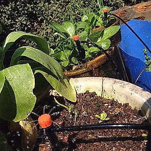 Flantor Garden Irrigation System,50ft 3/8" & 50ft 1/4" Irrigation System Blank Distribution Tubing Watering Drip Kit/Irrigation Kits Automatic Mist Irrigation Equipment Set for Garden,Flower Bed,Lawn